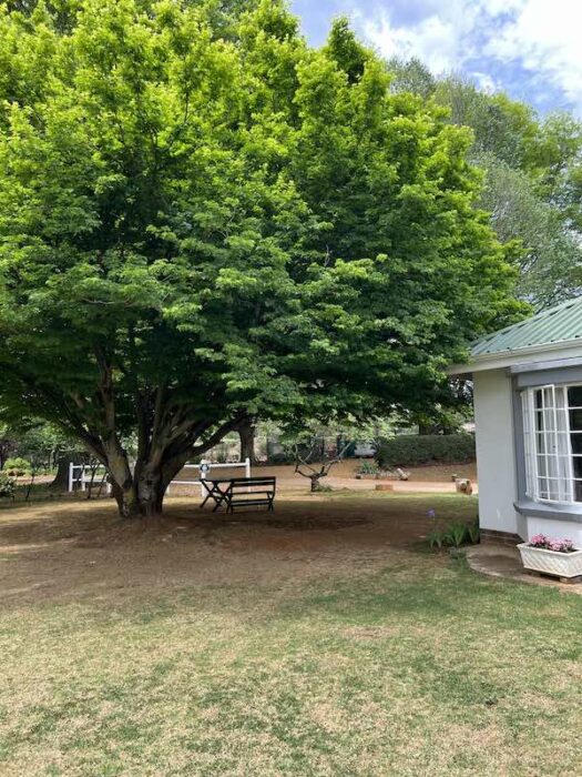 Explore Our Place - Sani Window Bed & Breakfast