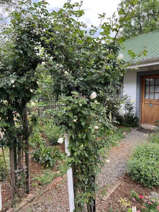 Explore Our Place - Sani Window Bed & Breakfast