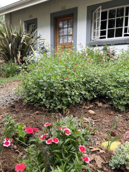 Explore Our Place - Sani Window Bed & Breakfast
