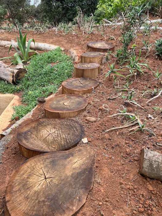 Explore Our Place - Sani Window Bed & Breakfast