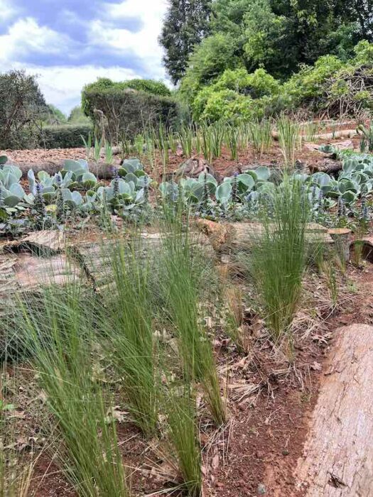 Explore Our Place - Sani Window Bed & Breakfast