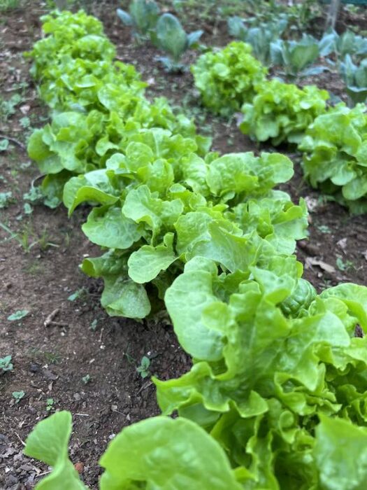 Explore Our Place - Sani Window Bed & Breakfast