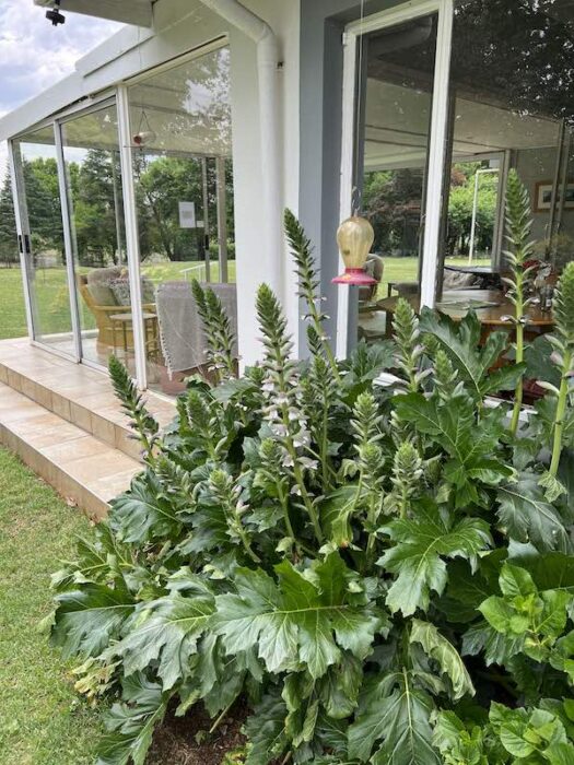 Explore Our Place - Sani Window Bed & Breakfast